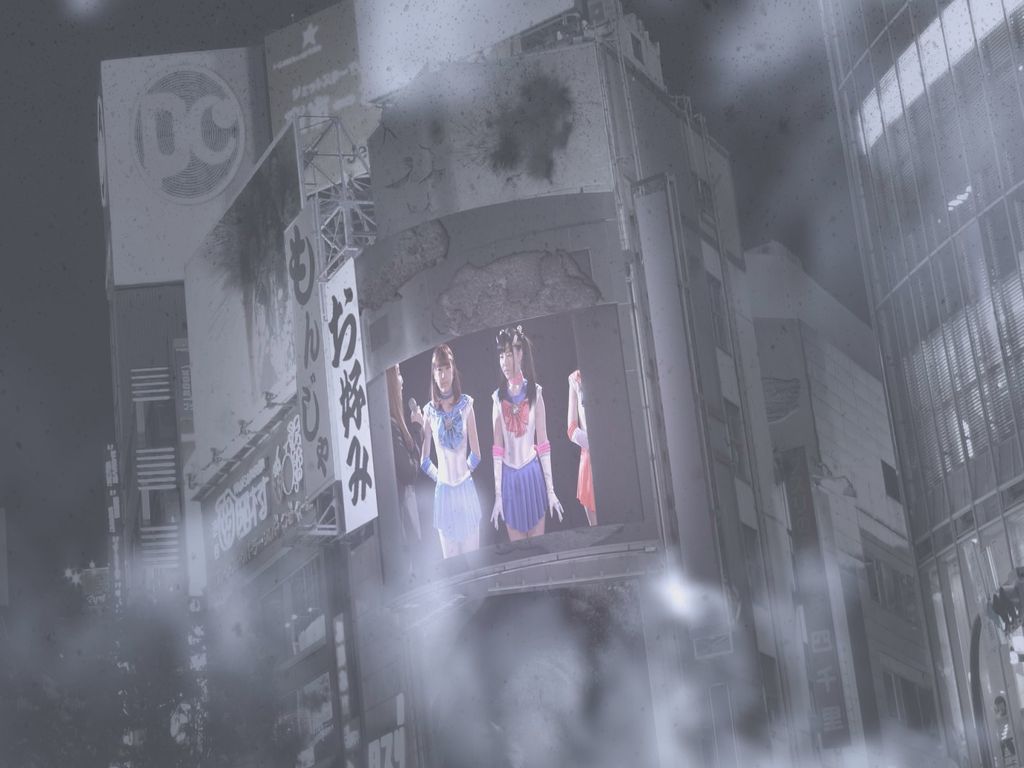 SAKATA REPORT : 2017年04月