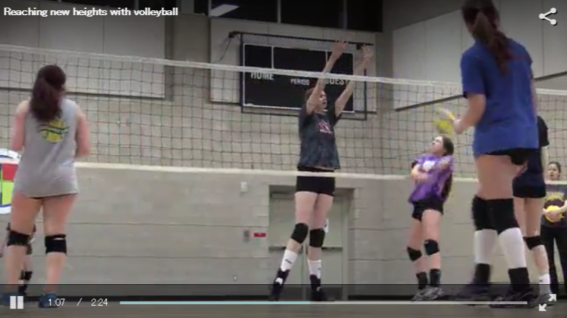 長身美女図鑑 : Miranda Weber