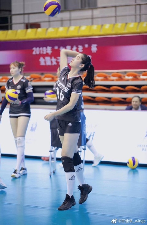 長身美女図鑑 : Wang Jiazheng