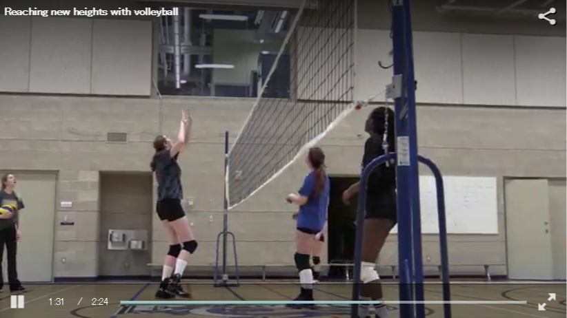 長身美女図鑑 : Miranda Weber