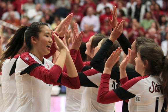 長身美女図鑑 : Lydia Bai