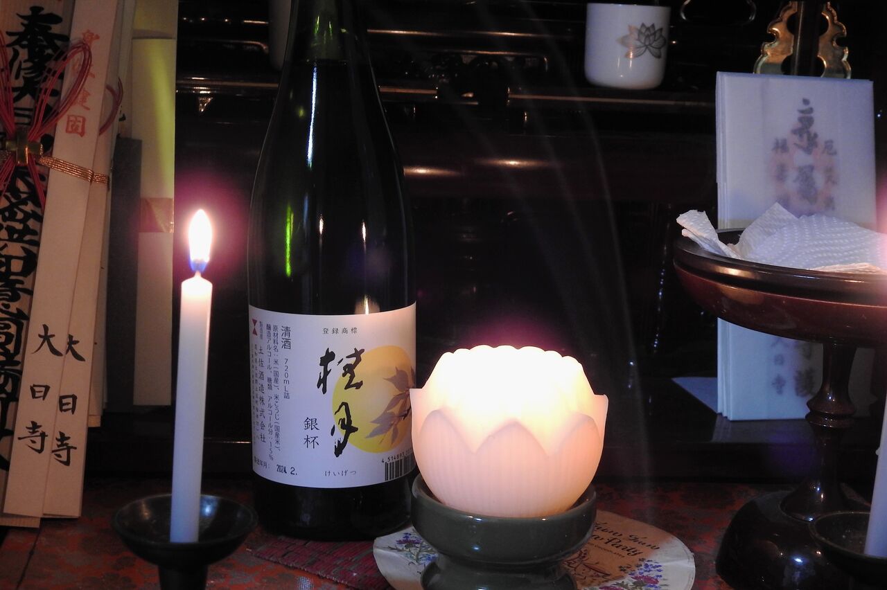 2024年03月04日 : 土佐料理 旬の鰹がゆく！