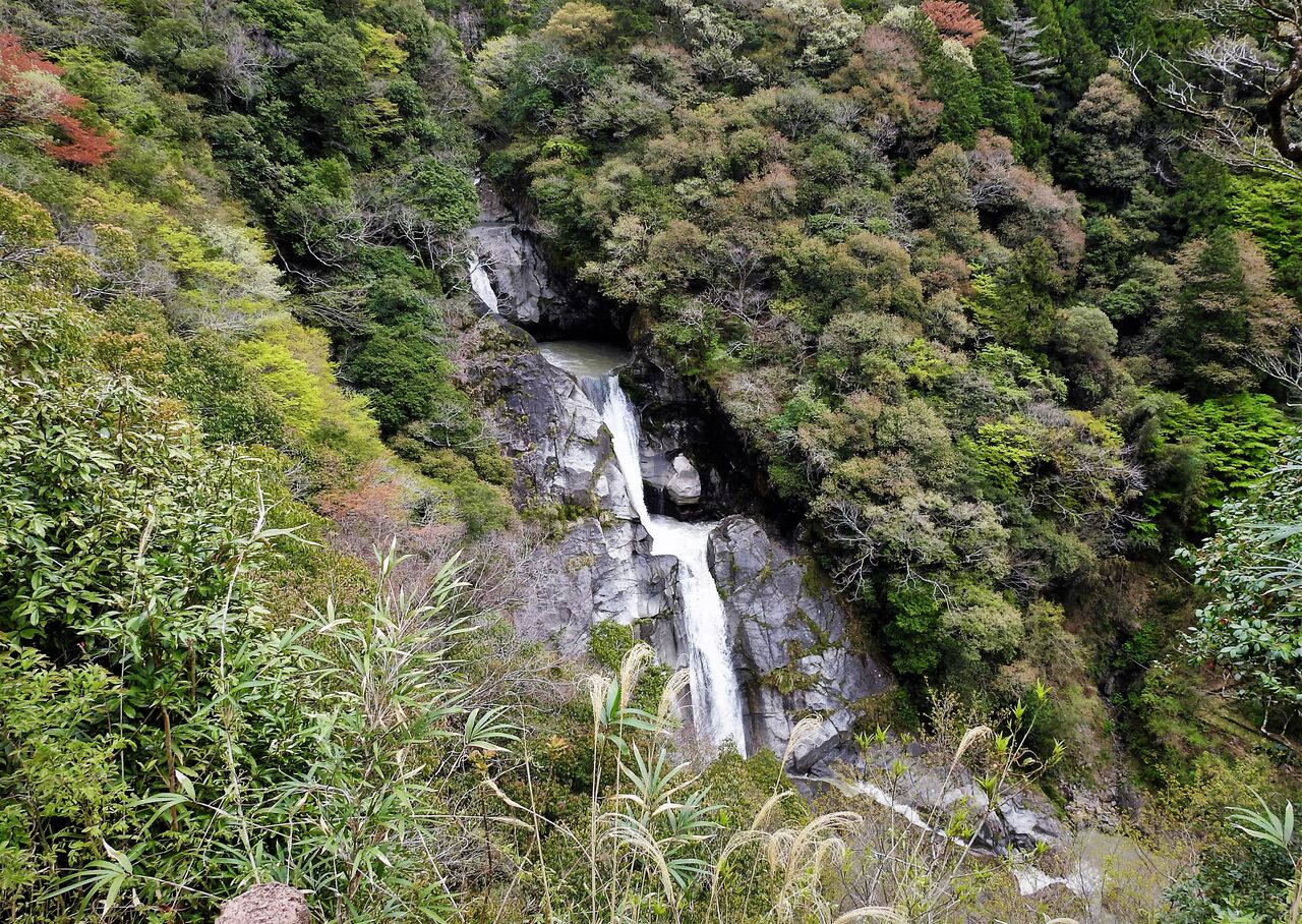 落差82mの迫力 轟の滝 : 土佐料理 旬の鰹がゆく！