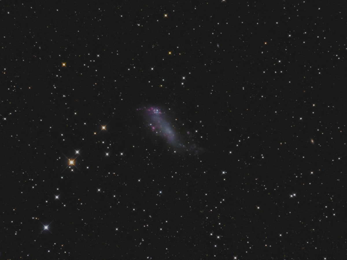 深夜道楽 : 1月10日 IC2574 コーディントンの星雲