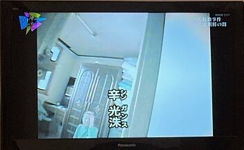 トトヤンの家庭菜園:2022年01月28日