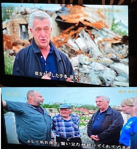 トトヤンの家庭菜園:それぞれの現実解