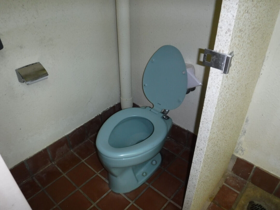 1973年のTOTOカタログ・その他落札物 : TOYOの旅行とトイレ調査日記