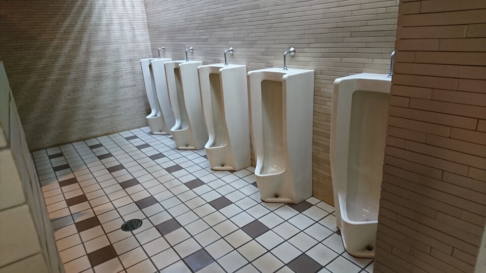 80年代頃の高級なトイレ : TOYOの旅行とトイレ調査日記