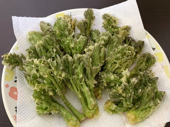 東京人は山菜食わせても喜ばず、キャベツやほうれん草の方がいいと言い出す。 : 登山ちゃんねる