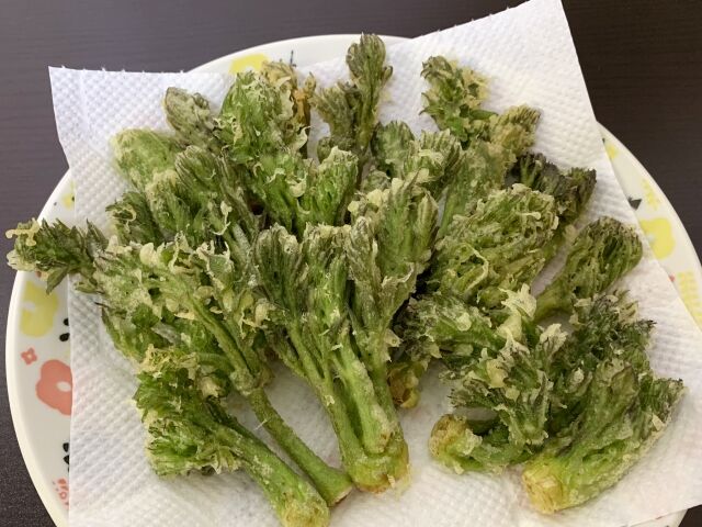 東京人は山菜食わせても喜ばず、キャベツやほうれん草の方がいいと言い出す。 : 登山ちゃんねる