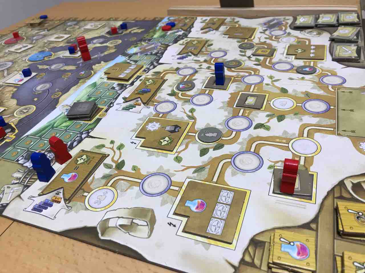 ニュートン/Newton : treeボードゲーム日記