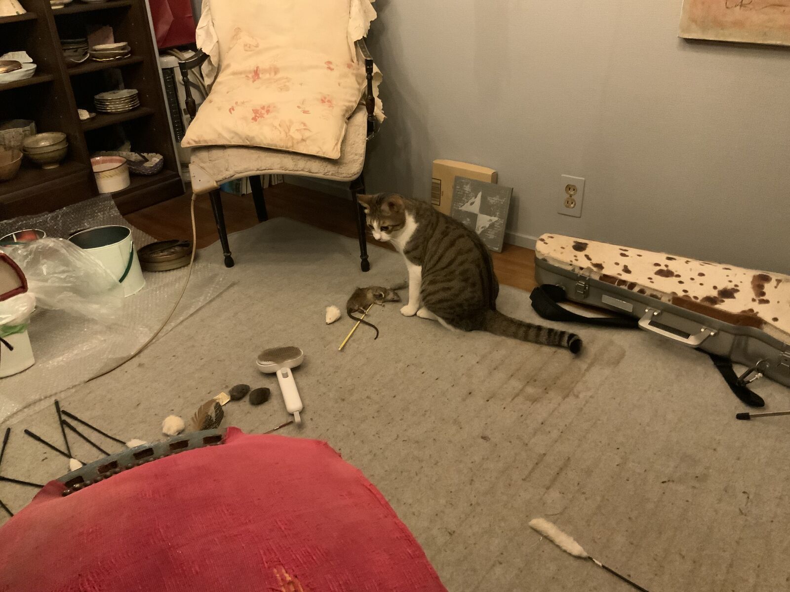 姫log Tri Angle:そろそろだなーと思ったら