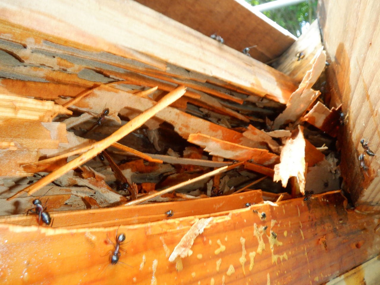 姫log Tri Angle:令和の大改修 3