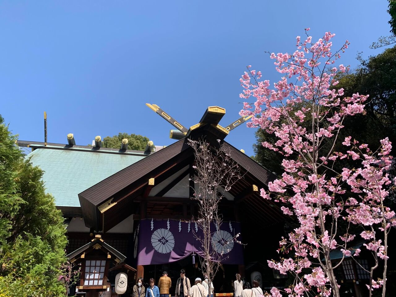 トリニティメソッド ®:2025/3/22 東京大神宮