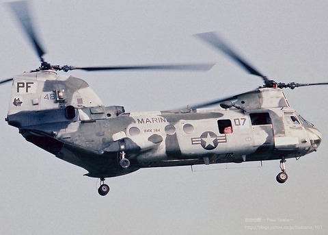 自由空間 〜Free Space〜 : HMM-364 Purple Foxes