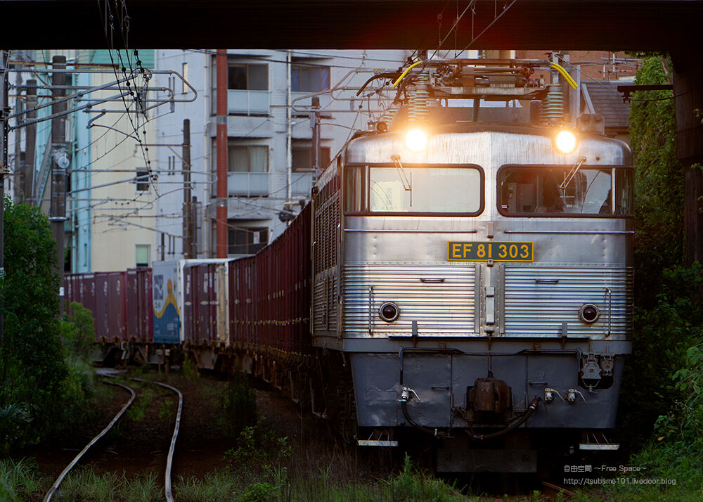 自由空間 〜Free Space〜 : EF81 303号機+コキ