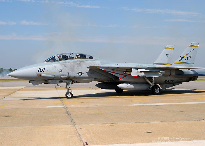 自由空間 〜Free Space〜 : VF-32 Swordsmen