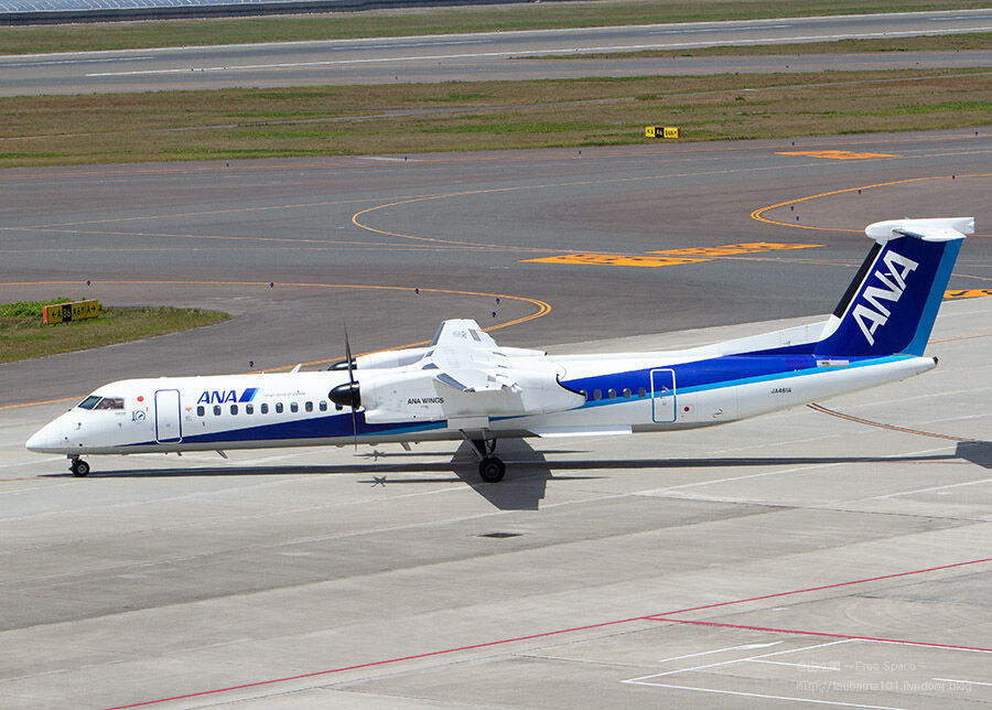 自由空間 〜Free Space〜 : ANA Wings