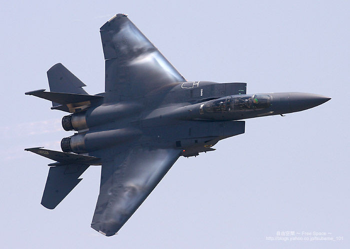 自由空間 〜Free Space〜 : 334FS CHEEFS