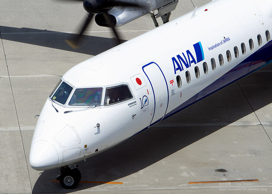 自由空間 〜Free Space〜 : ANA Wings