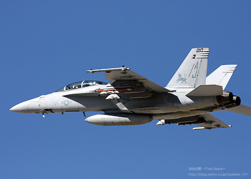 自由空間 〜Free Space〜 : VFA-213 Black Lions