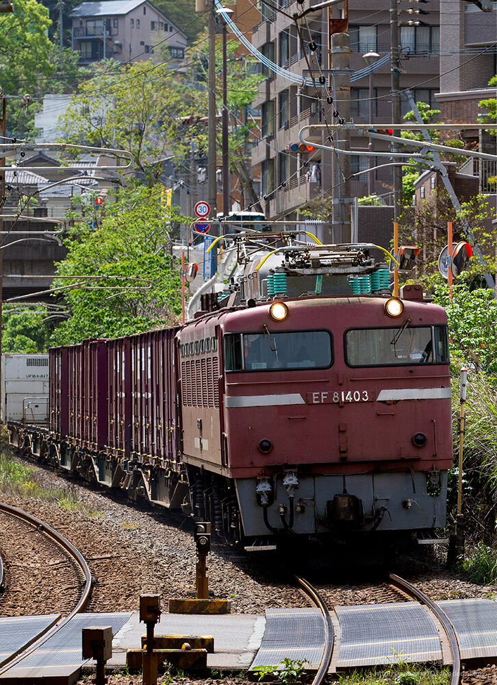 自由空間 〜Free Space〜 : EF81 403号機+コキ