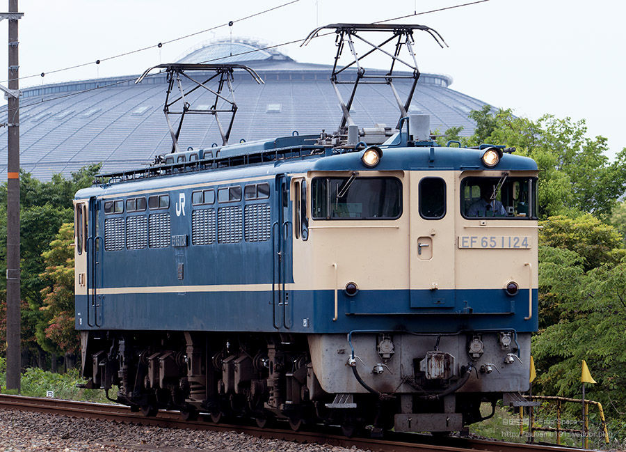 自由空間 〜Free Space〜 : EF65 1124号機