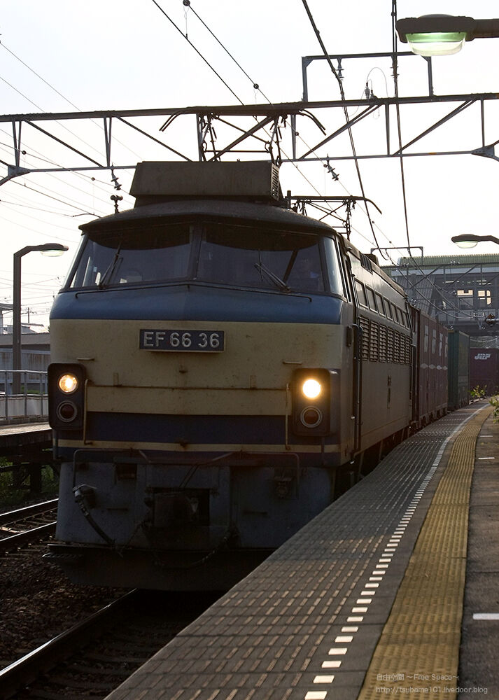 自由空間 〜Free Space〜 : EF66 36号機+コキ