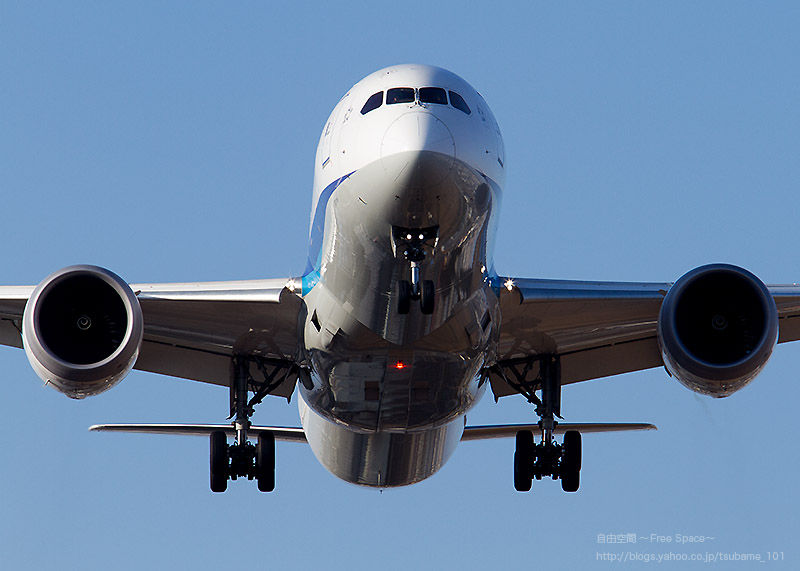 自由空間 〜Free Space〜 : B787