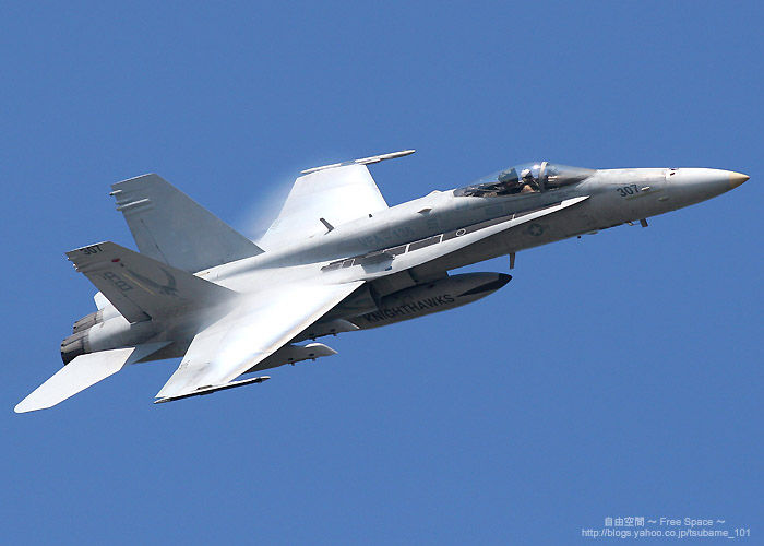 自由空間 〜Free Space〜 : VFA-136 Kinight Hawks