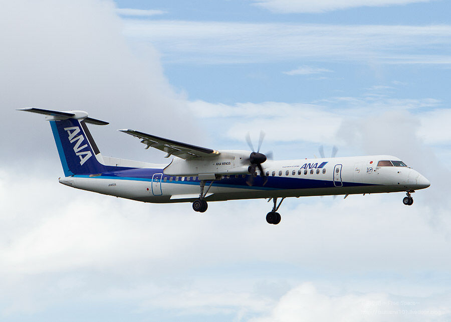 自由空間 〜Free Space〜 : ANA WINGS