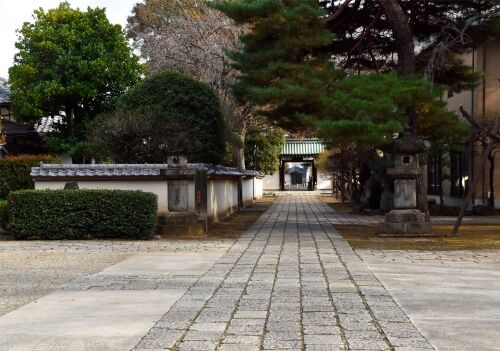 つっちゃんの絵日記:2025年12月20日 - livedoor Blog（ブログ）