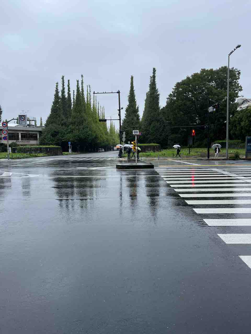 通勤ウォーカー:定点観測 - livedoor Blog（ブログ）