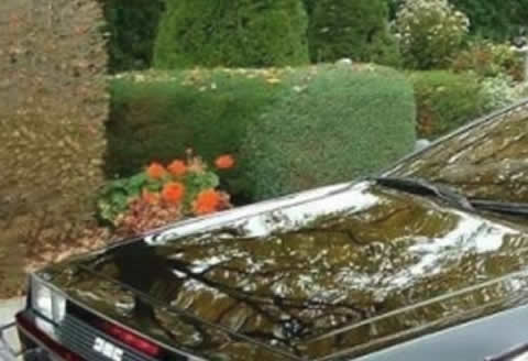 Turbo Bee - 自動車・バイク動画のターボビー