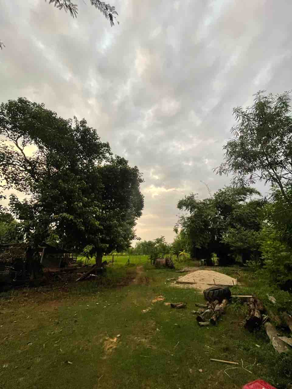 8月13日 ウボンラチャタニ2日目 : べぇのタイ永住日記