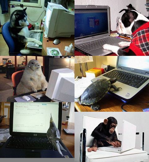 ubub_jpのblog : めっちゃ稼げるよ!! 【高級デリバリーヘルス UBUB.jp(ウブウブ)】