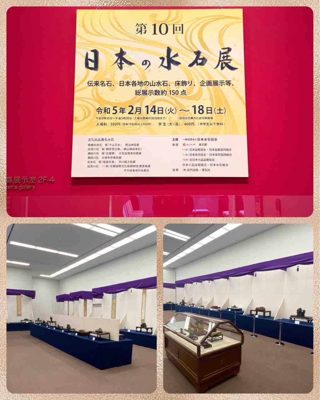第10回「日本の水石展」開幕❗️ : 雨竹 盆栽 水石 便り 第10回「日本の水石展」開幕❗️ : 雨竹 盆栽 水石 便り