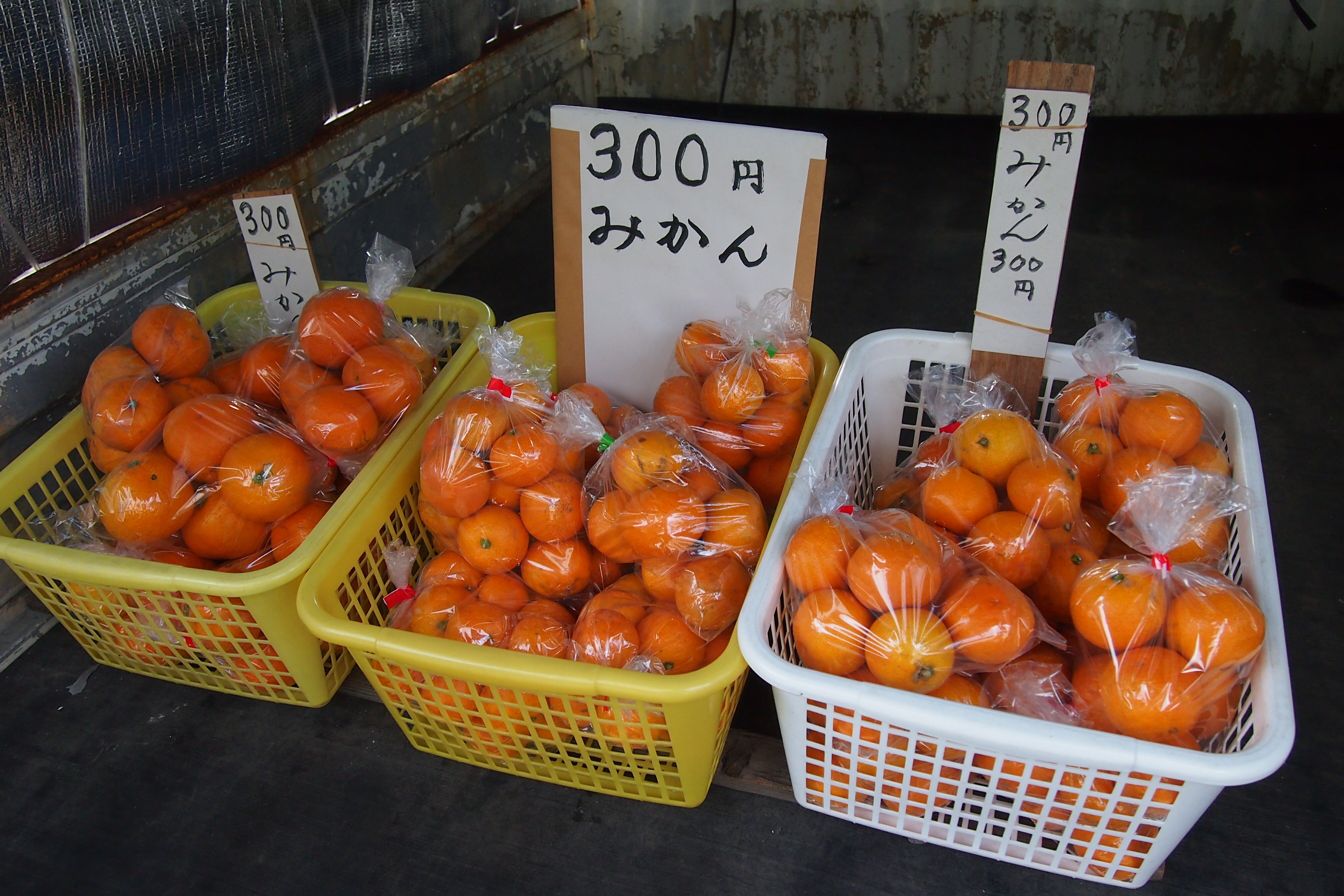 2024/12 : udi's blog