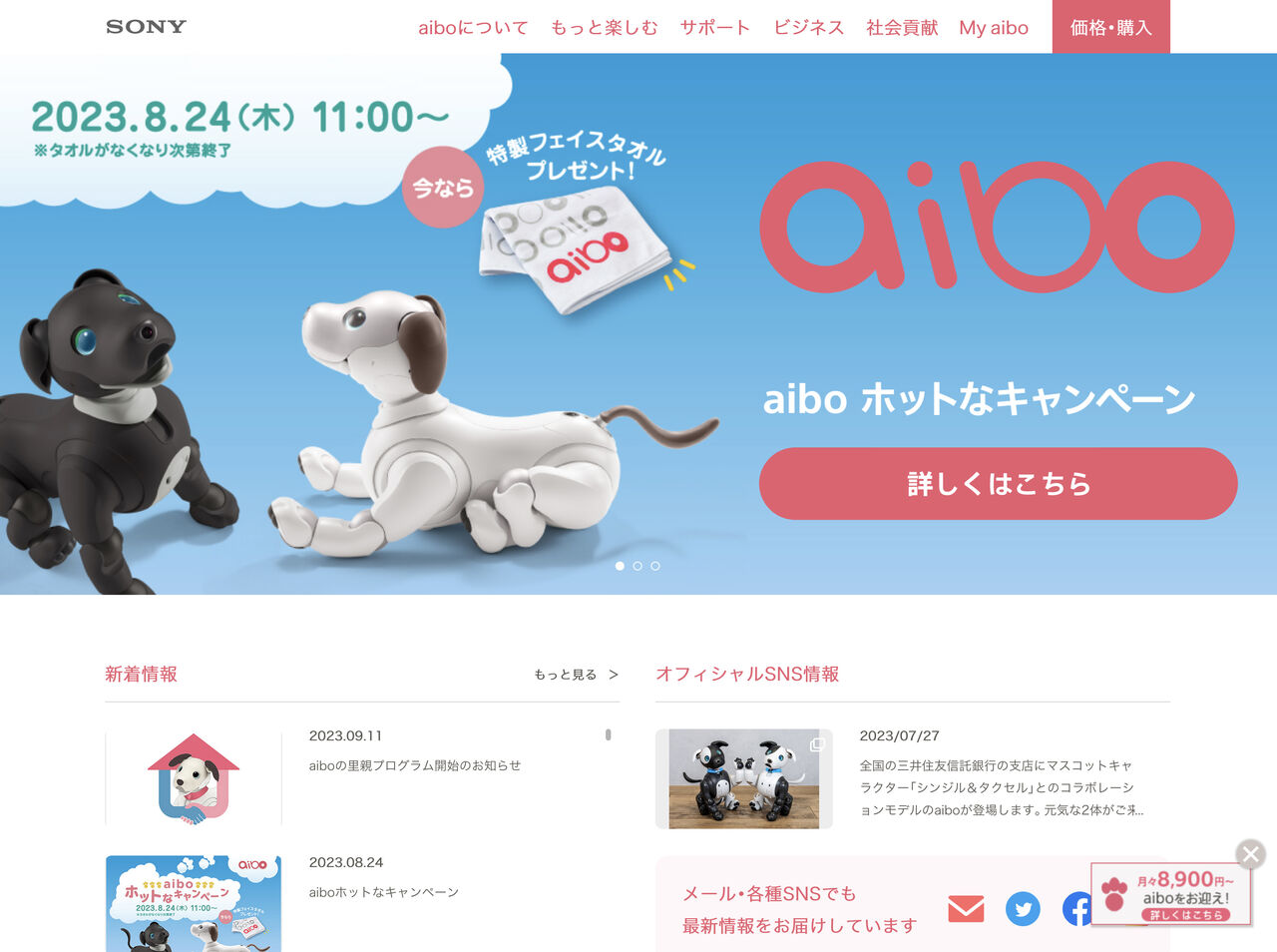 aibo。 : 車輪酒+