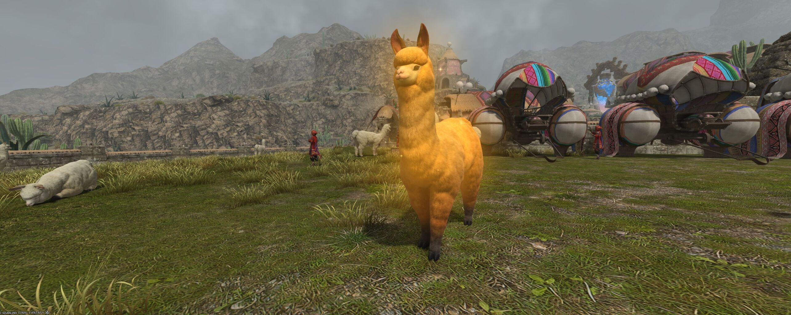 【FF14】黄金の成金マウントは金色のアルパカと予想するヒカセンたち｜馬鳥速報