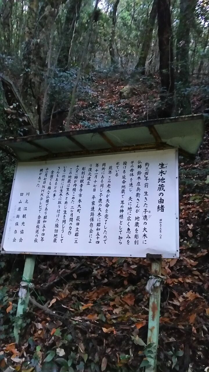 海賊太郎のえひめ東予の歩き方 : 2023年09月02日