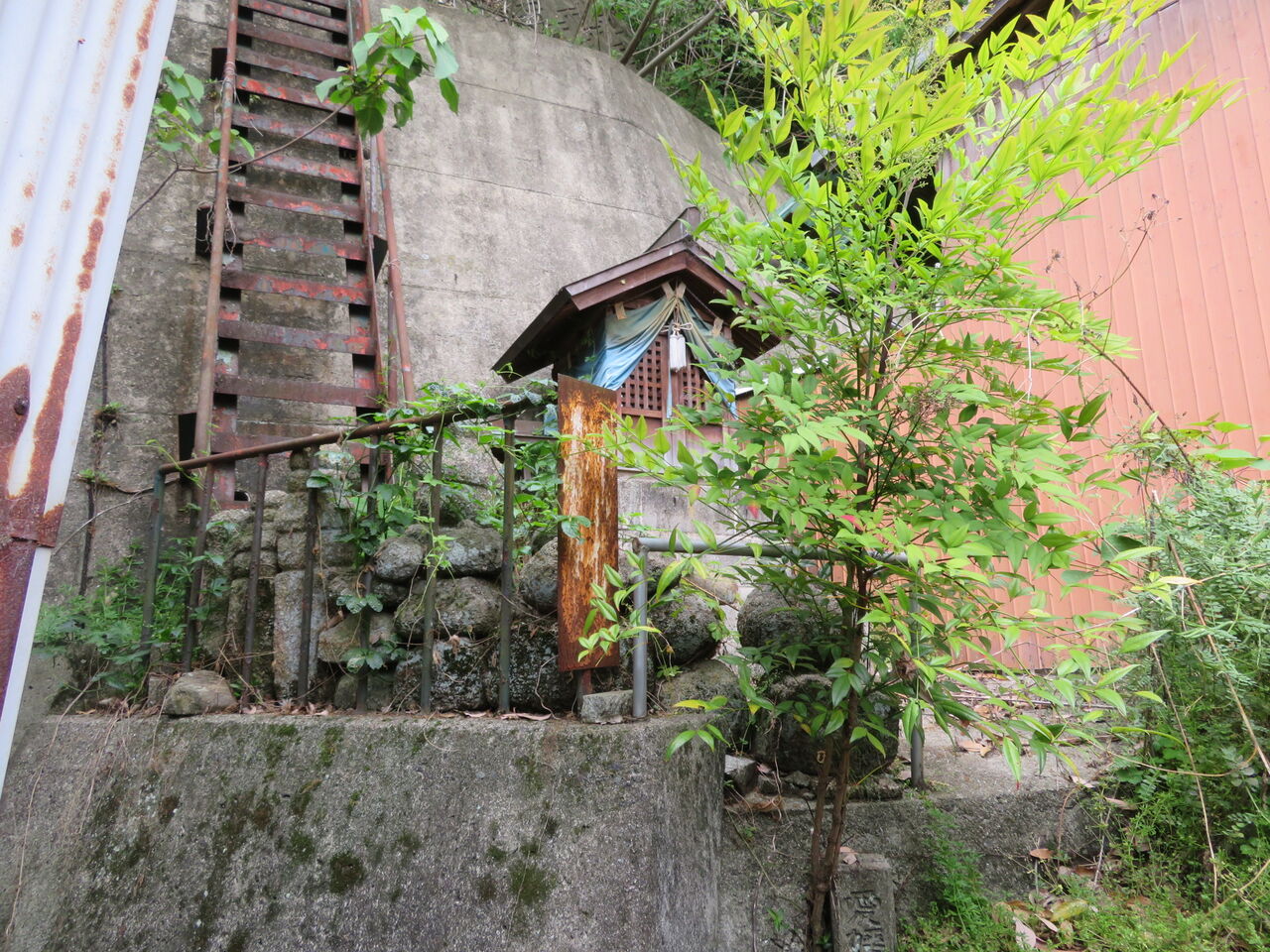 海賊太郎のえひめ東予の歩き方 : 2022年05月