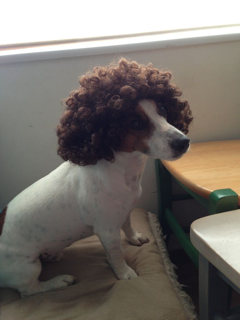 HappyBirthday NATSUKO ! : 大自然の中の楽園的生活～妻と3人の娘と、そして海に囲まれて～