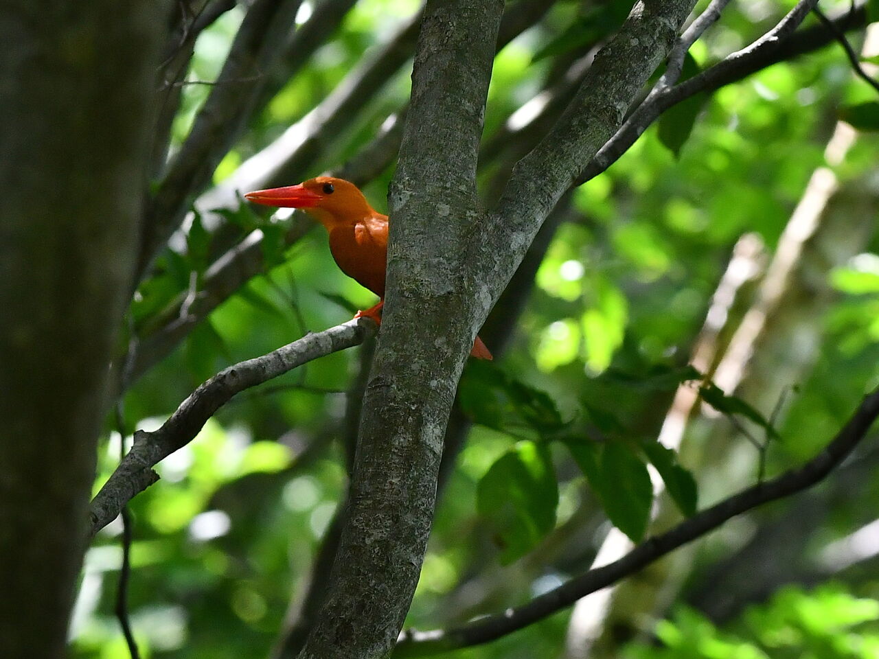 赤と青 : 但馬丹後とり歩き
