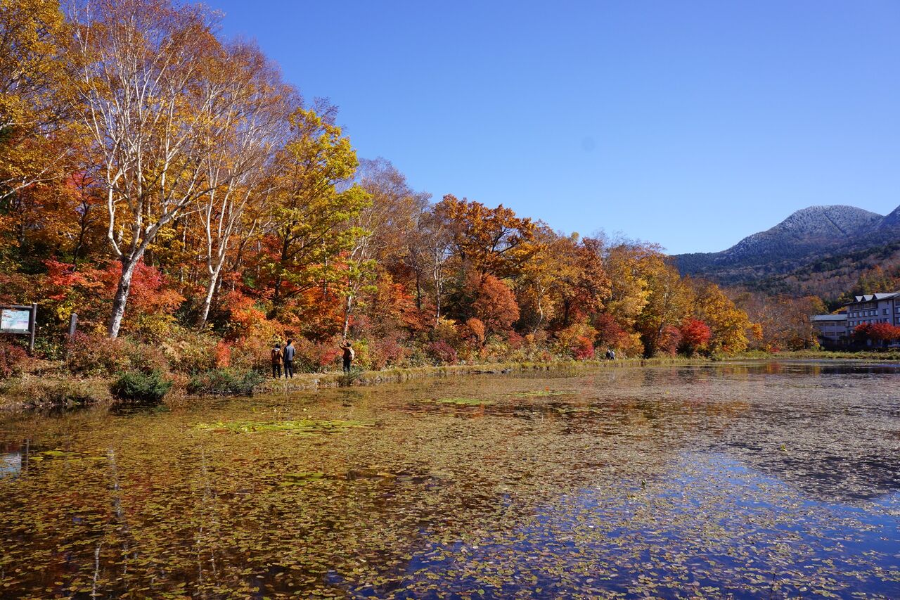 10月バス例会「志賀高原・紅葉探勝・バス・ウォーク」 : 魚津歩こう会のblog