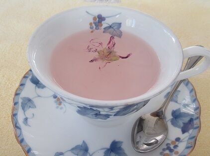 信州うらさとハーブ園とブレンドハーブティー通販 : 次の出逢いは、コモンマロウの不思議に感激！