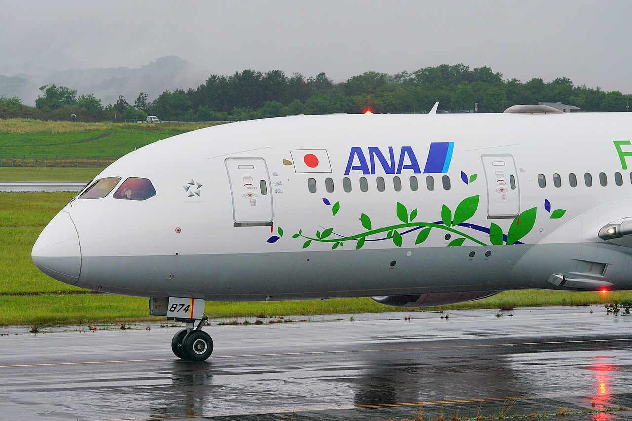 JA874A GreenJet Part2 : 讃岐の鉄と空、時々海