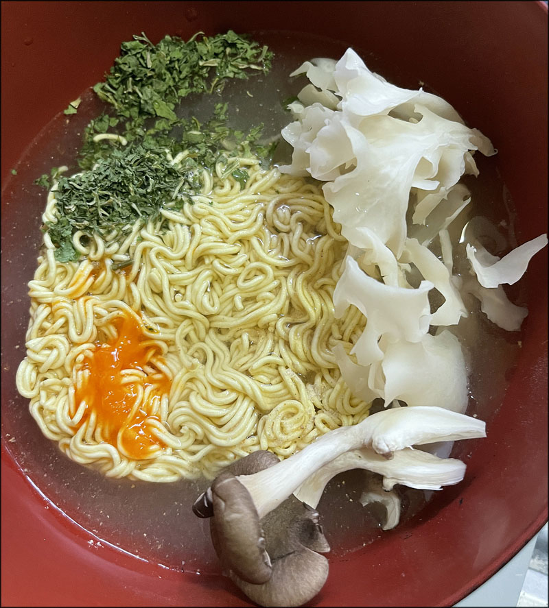 正月 : きのこ好き うらしもじ