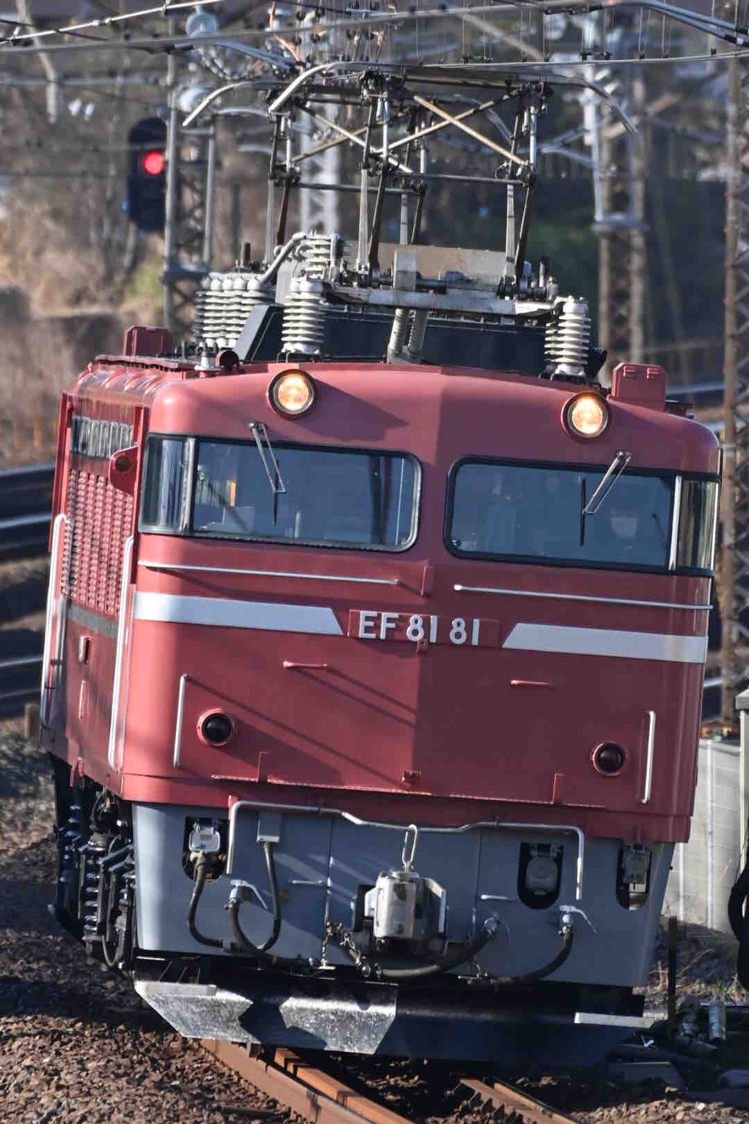 3/19 松戸撮影会送り込み EF81 81 : ワラ鉄2