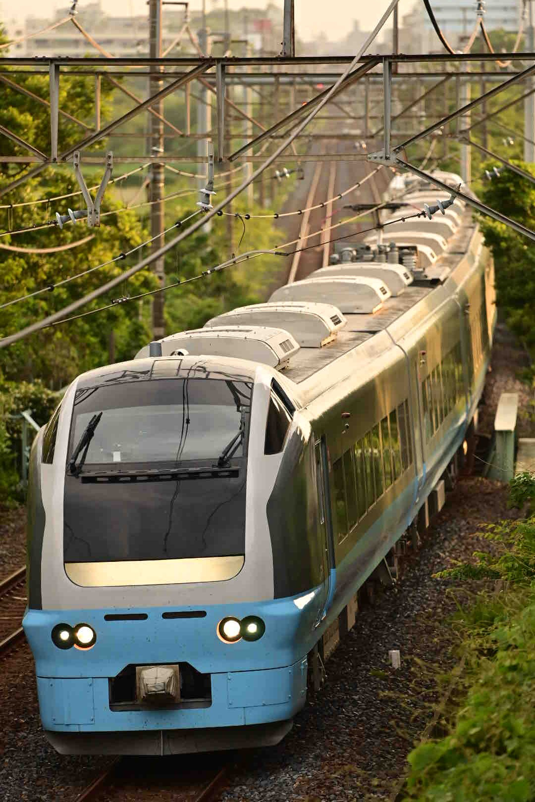 5/18 特急 鎌倉 E653系K71編成 : ワラ鉄2